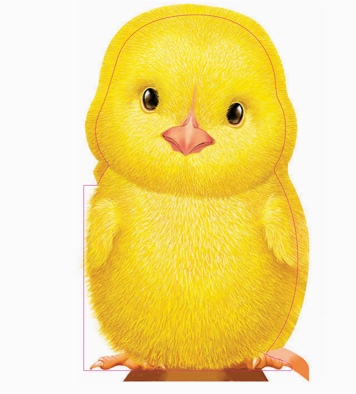 Furry Chick Book – Kiddeaux's